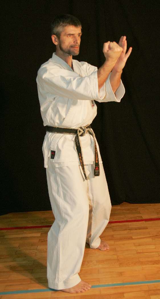 Karate klub kranj - borilne veščine, okinawa