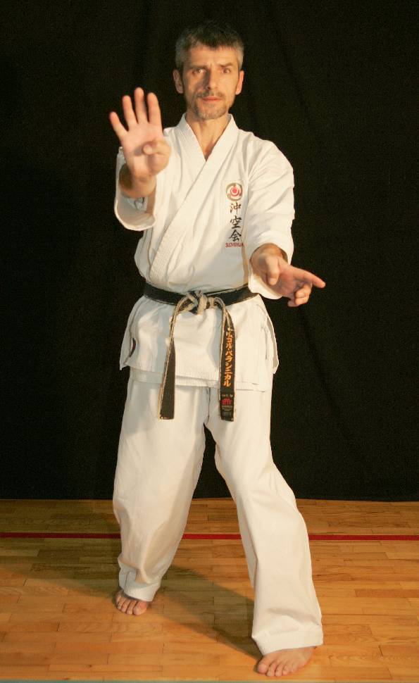 Karate klub kranj - borilne veščine, okinawa